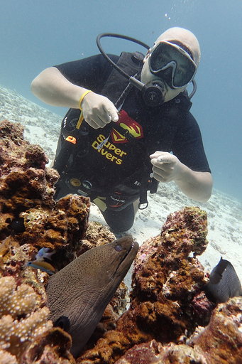 Support The Great Barrier Reef Clean Up on OLLIN – Fund the Future | Ollin